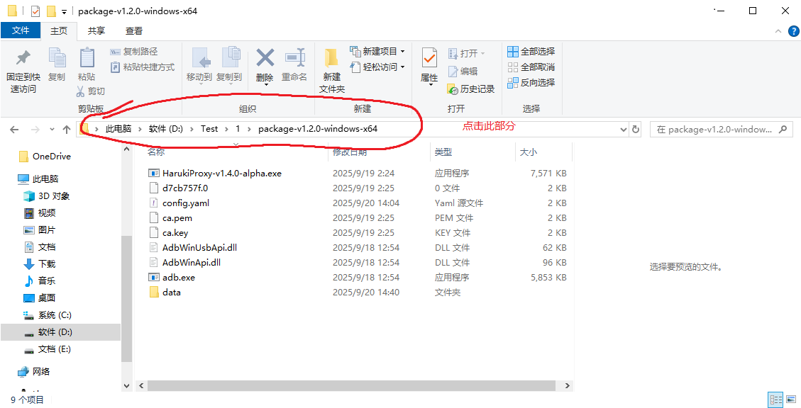HarukiProxy 介绍与教程 | HarukiBot 帮助文档