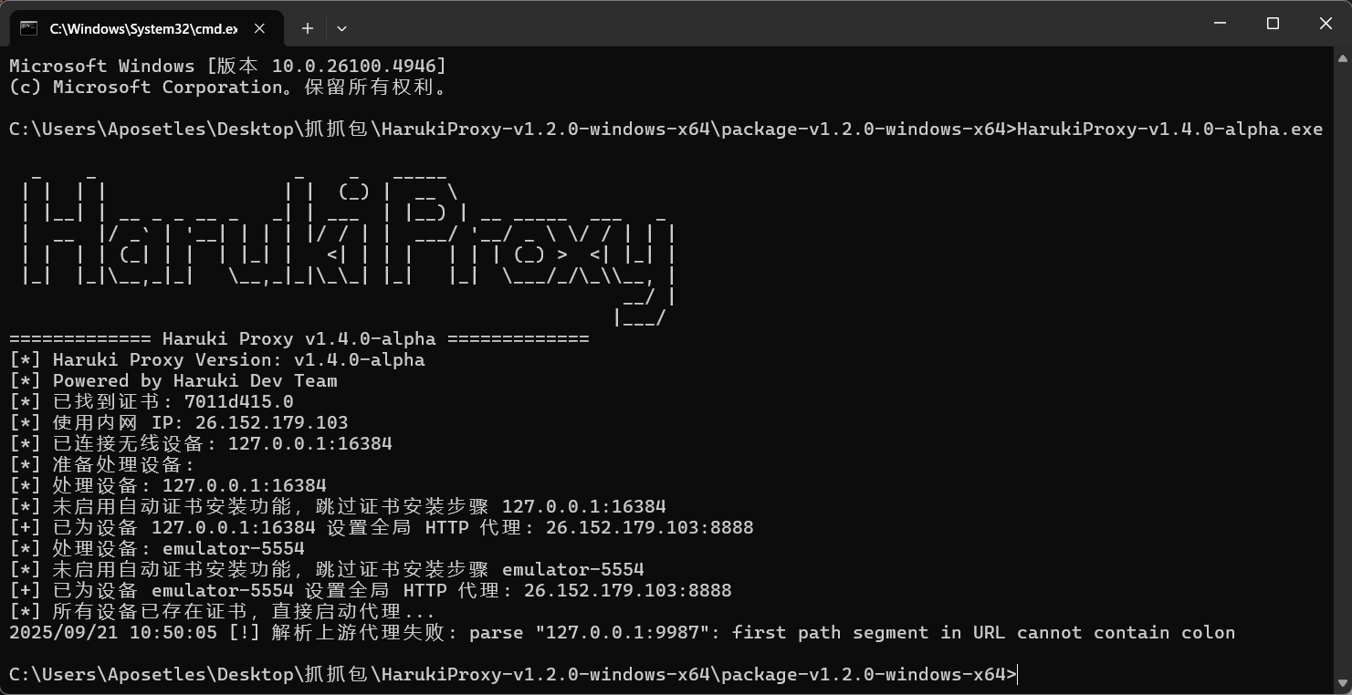HarukiProxy 介绍与教程 | HarukiBot 帮助文档